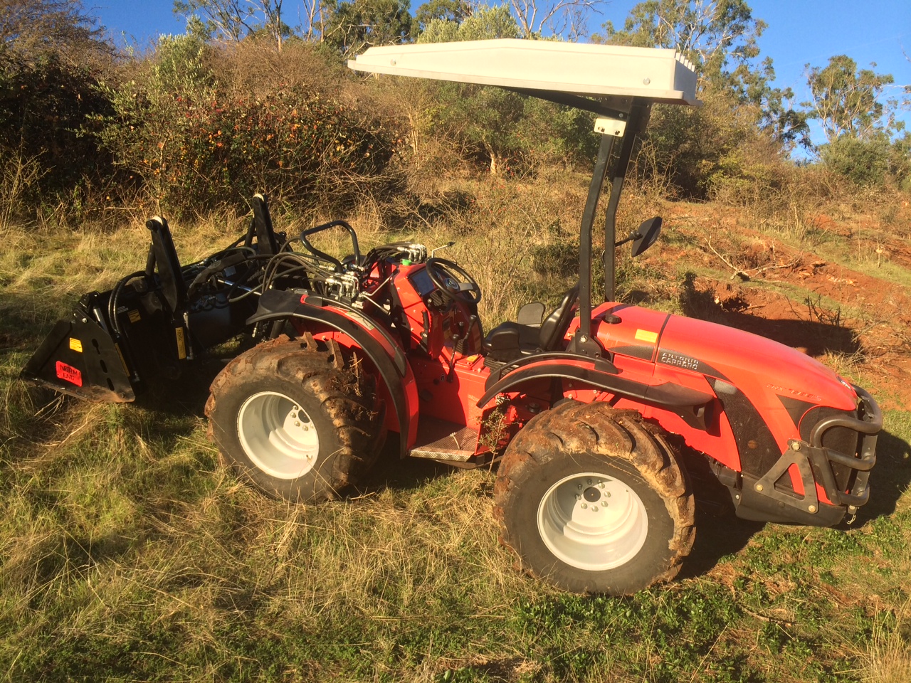 Move over, an Italian beauty has moved in - forage & feast